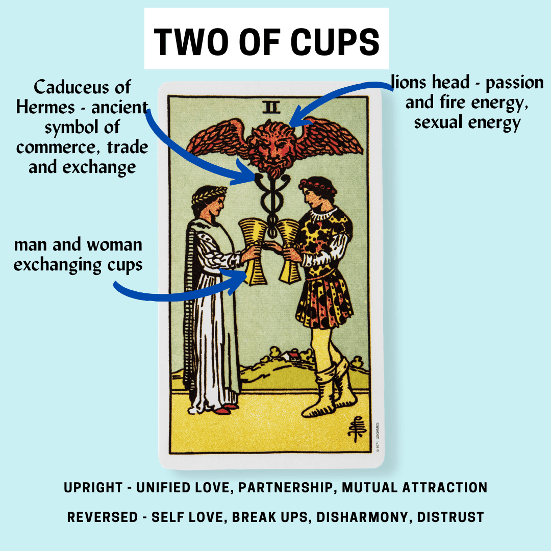 Suit of Cups: A Journey with the Fool | The Mythical Fairy Blog