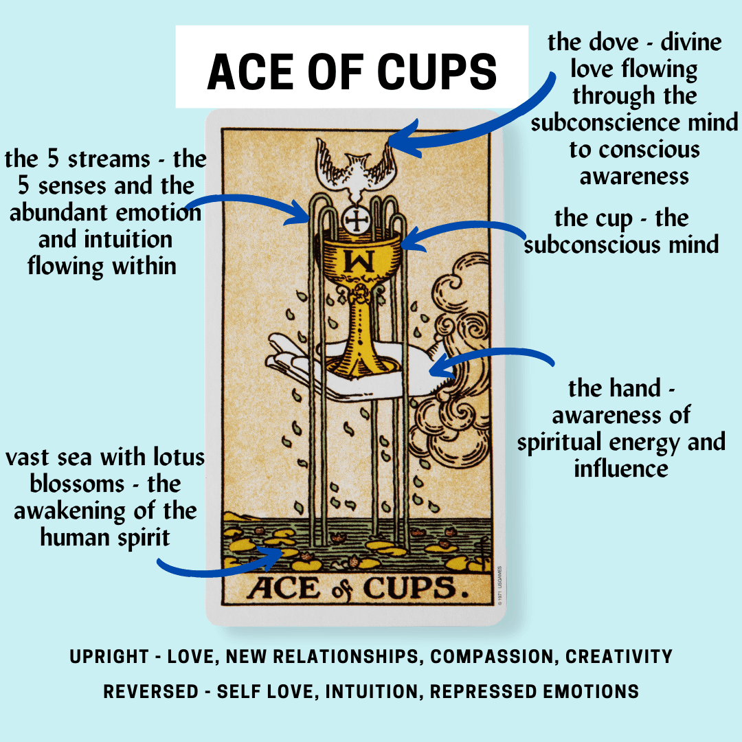 Suit of Cups: A Journey with the Fool | The Mythical Fairy Blog